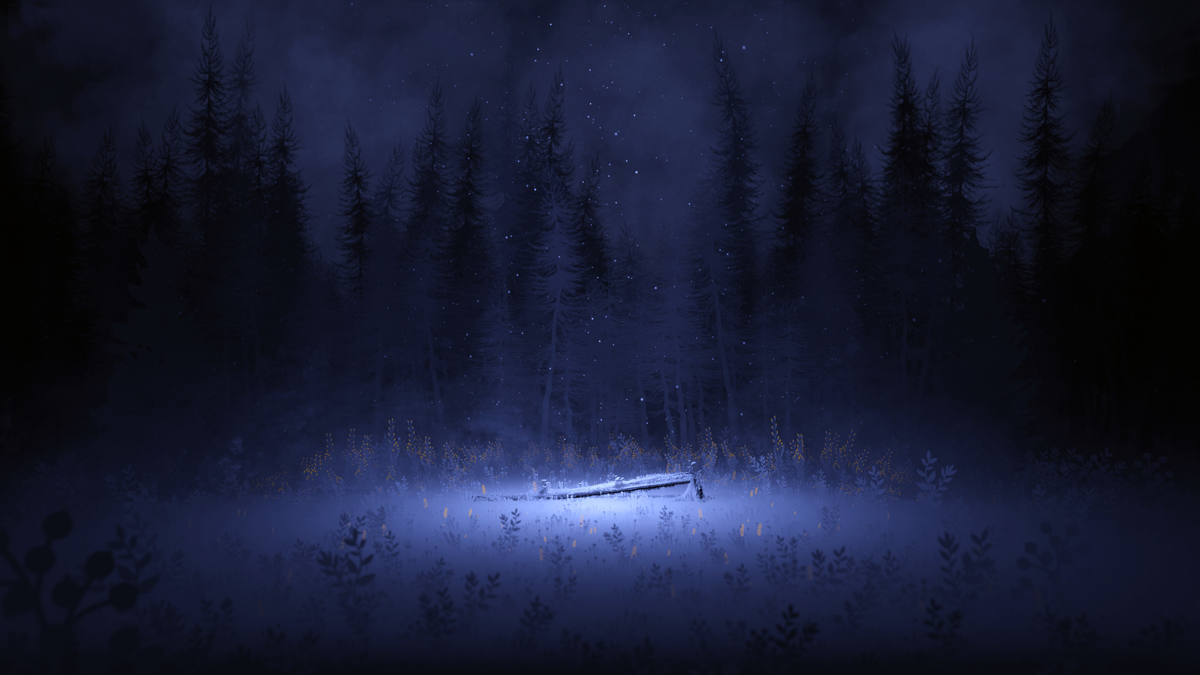 Night Snowfall 4k Wallpapers - Wallpaper Cave
