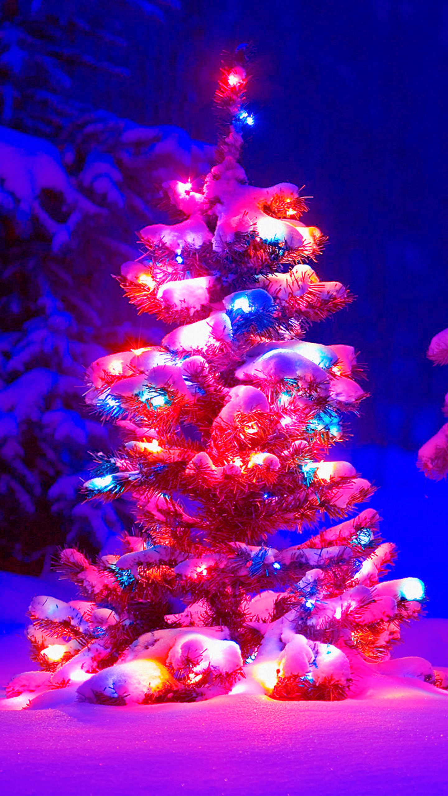 Winter Christmas Phone Wallpapers - Wallpaper Cave