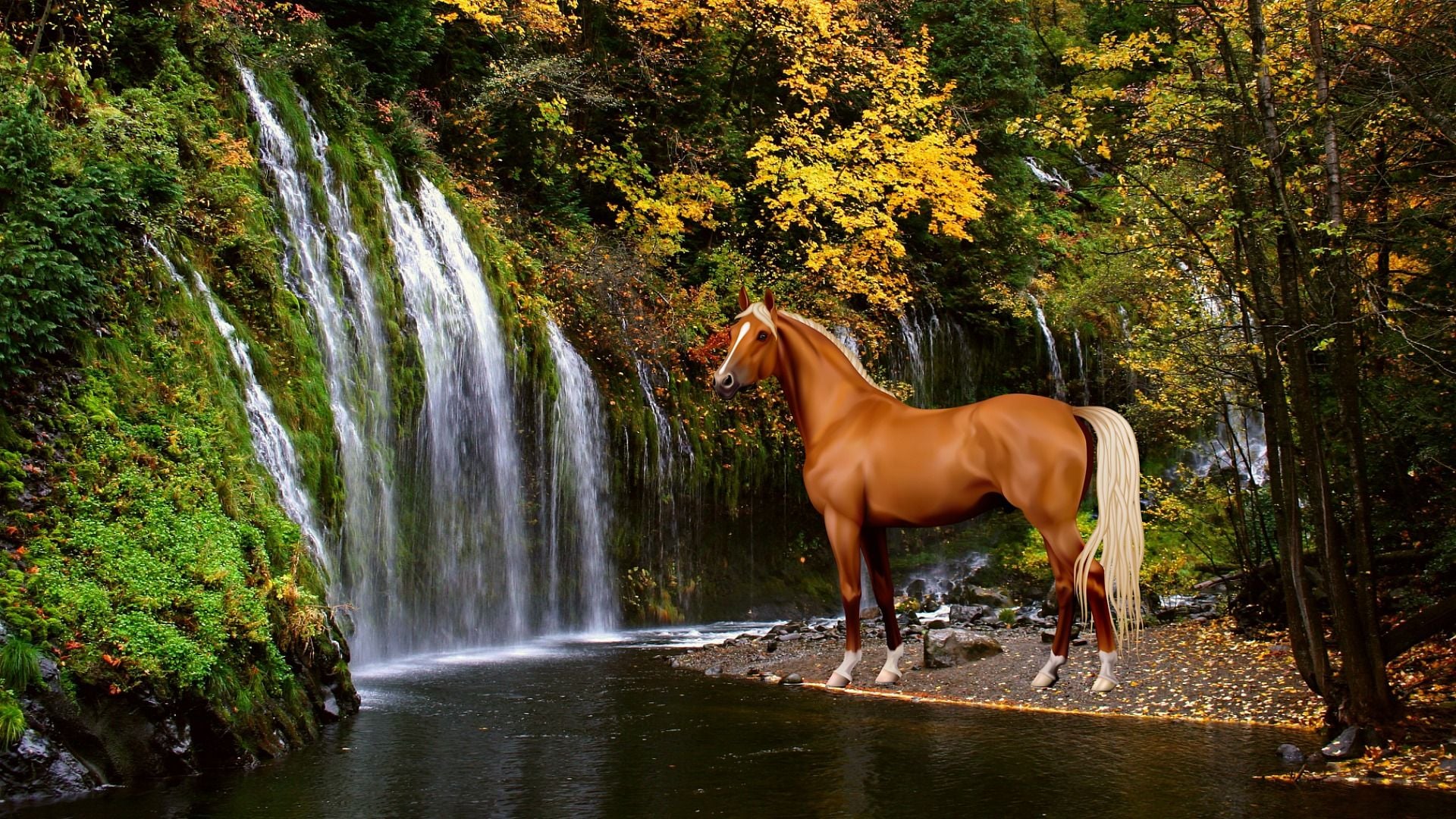 Autumn Horse Laptop Wallpapers - Wallpaper Cave