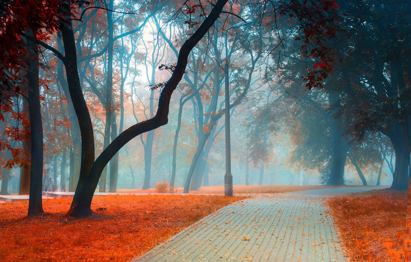 Autumn Lantern PC Wallpapers - Wallpaper Cave