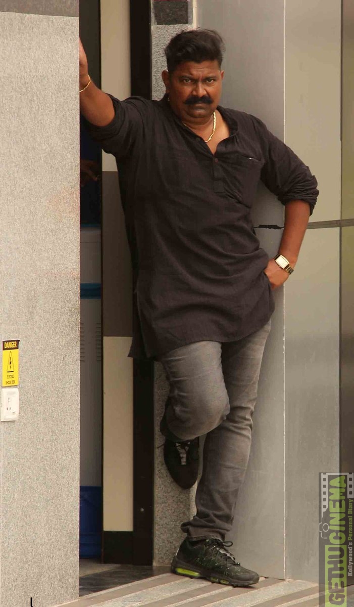 Mysskin Wallpapers - Wallpaper Cave