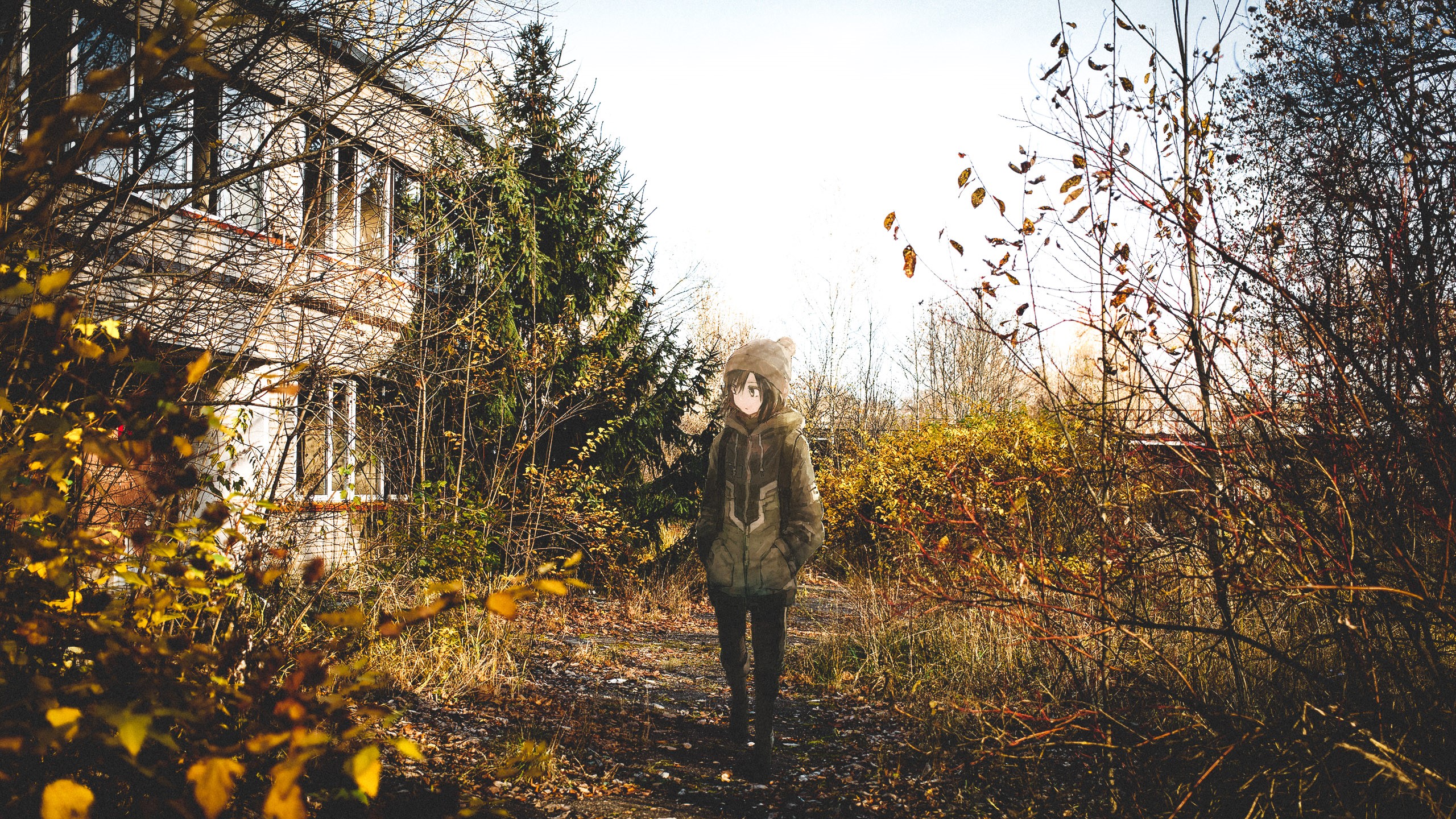 Nature Autumn Collage Wallpapers - Wallpaper Cave