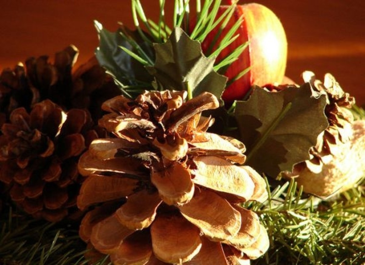 Autumn Pinecones Wallpapers - Wallpaper Cave