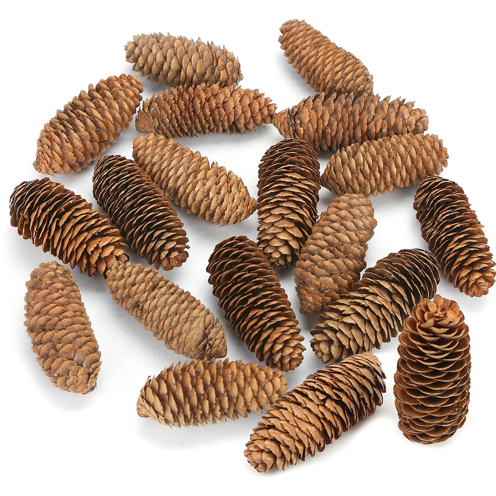 Autumn Pinecones Wallpapers - Wallpaper Cave