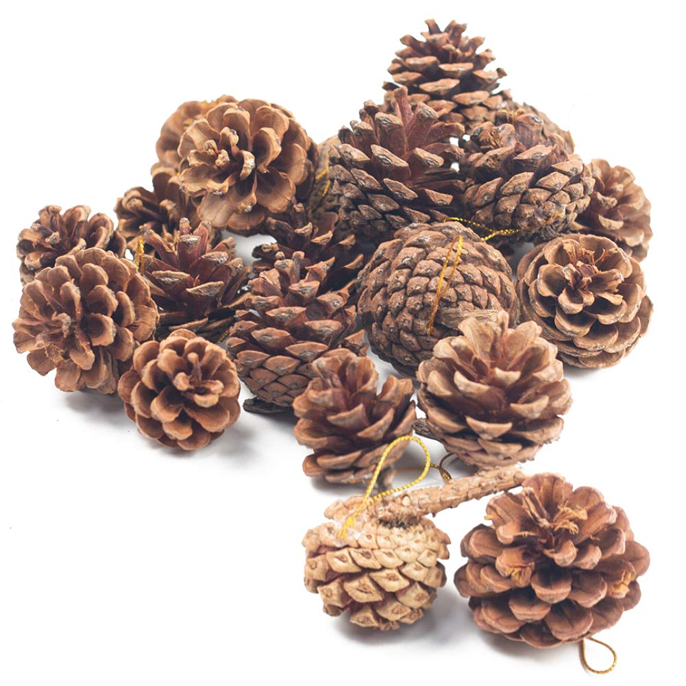 Autumn Pinecones Wallpapers - Wallpaper Cave