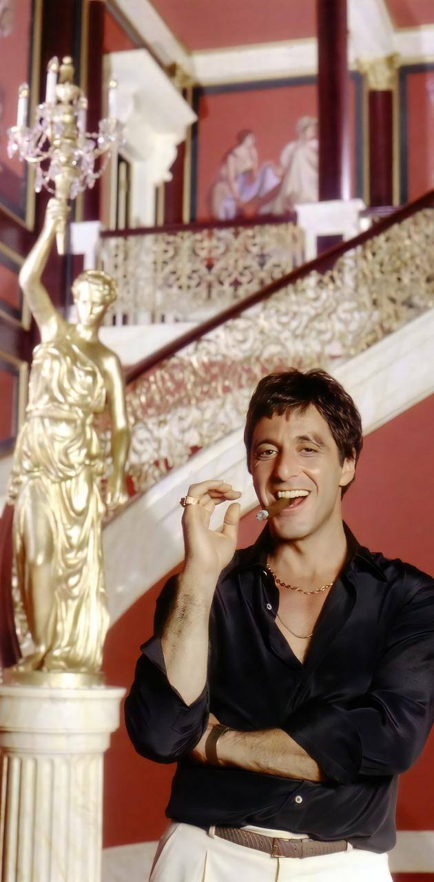 Antonio Montana Wallpapers - Wallpaper Cave