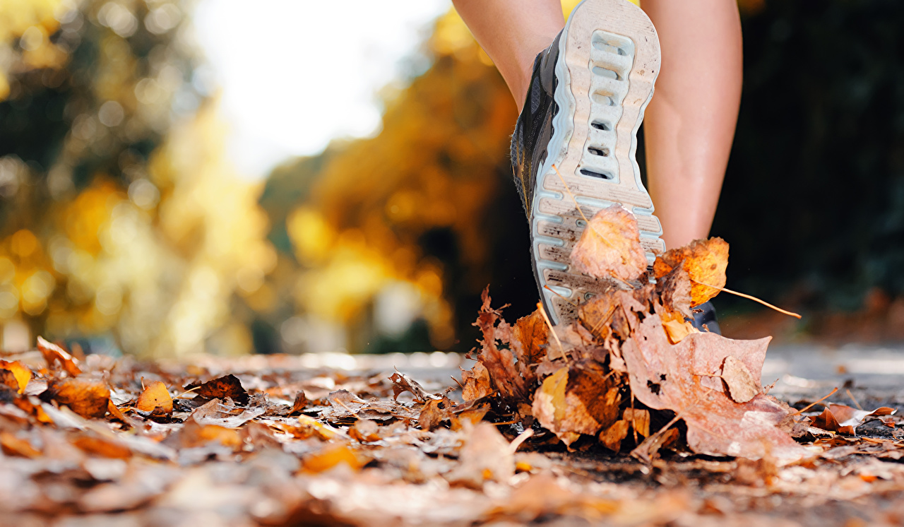 Running Autumn Wallpapers - Wallpaper Cave