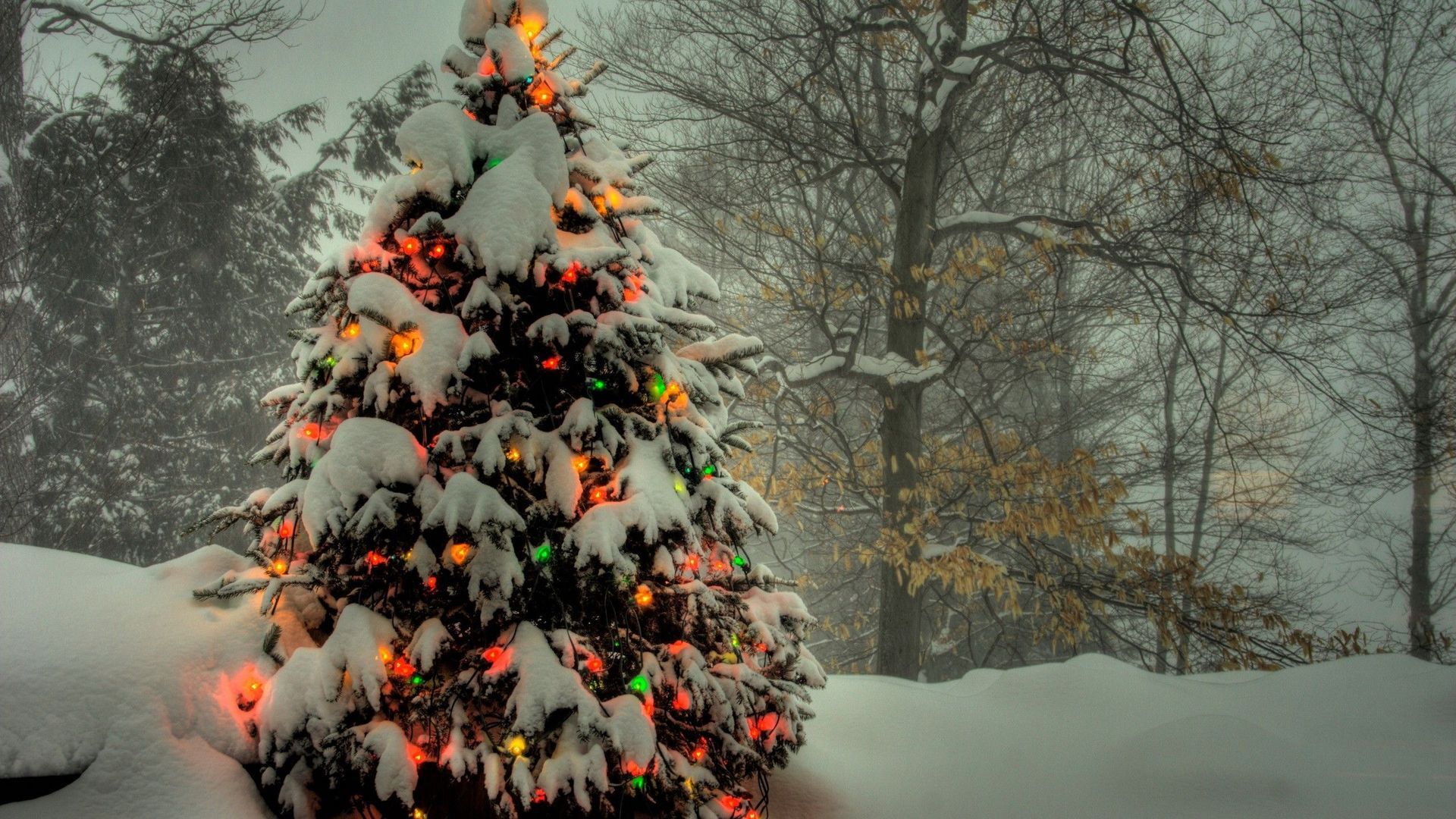 Winter Christmas Tree Outside Wallpapers - Wallpaper Cave