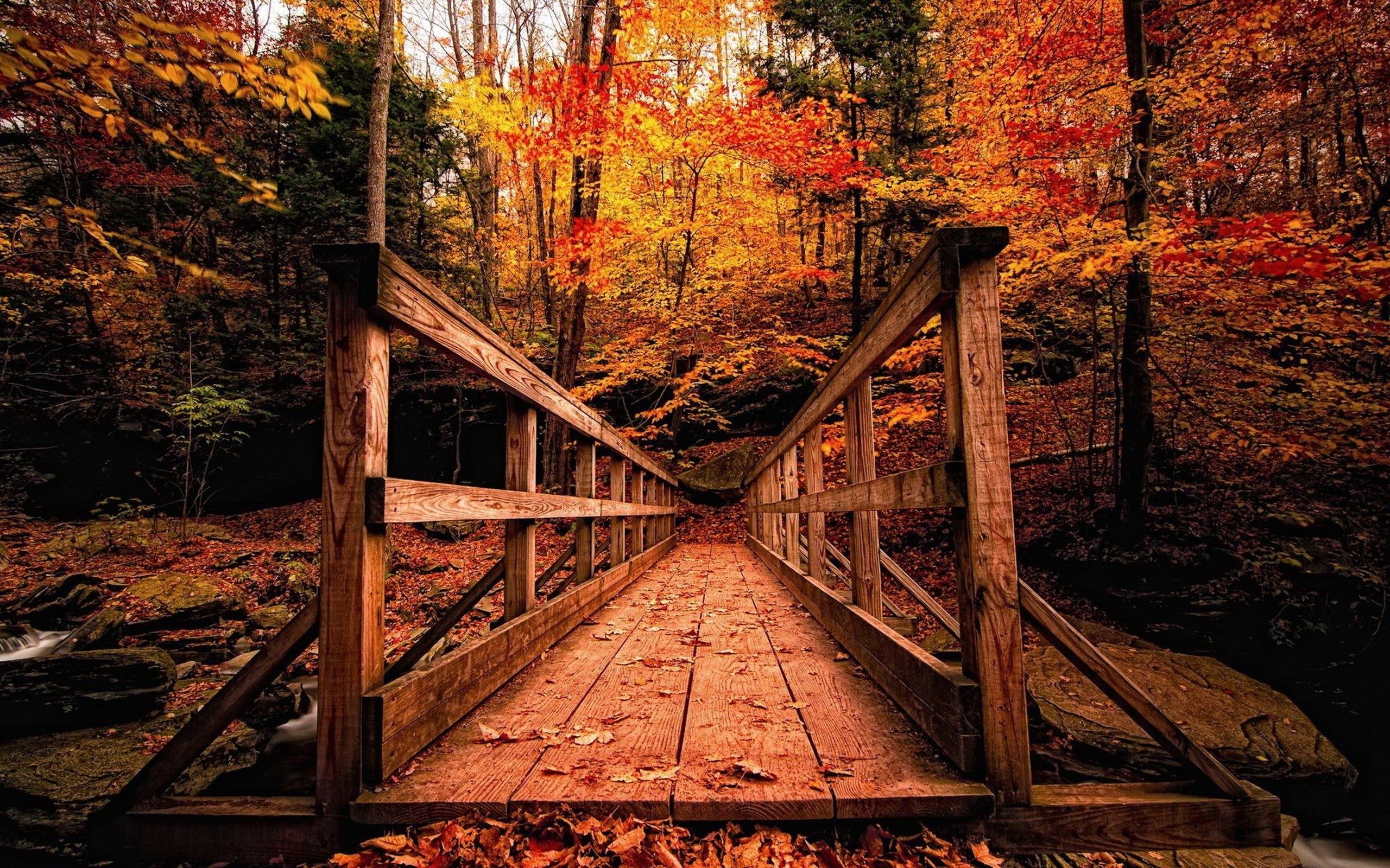 Wooden Autumn Wallpapers - Wallpaper Cave