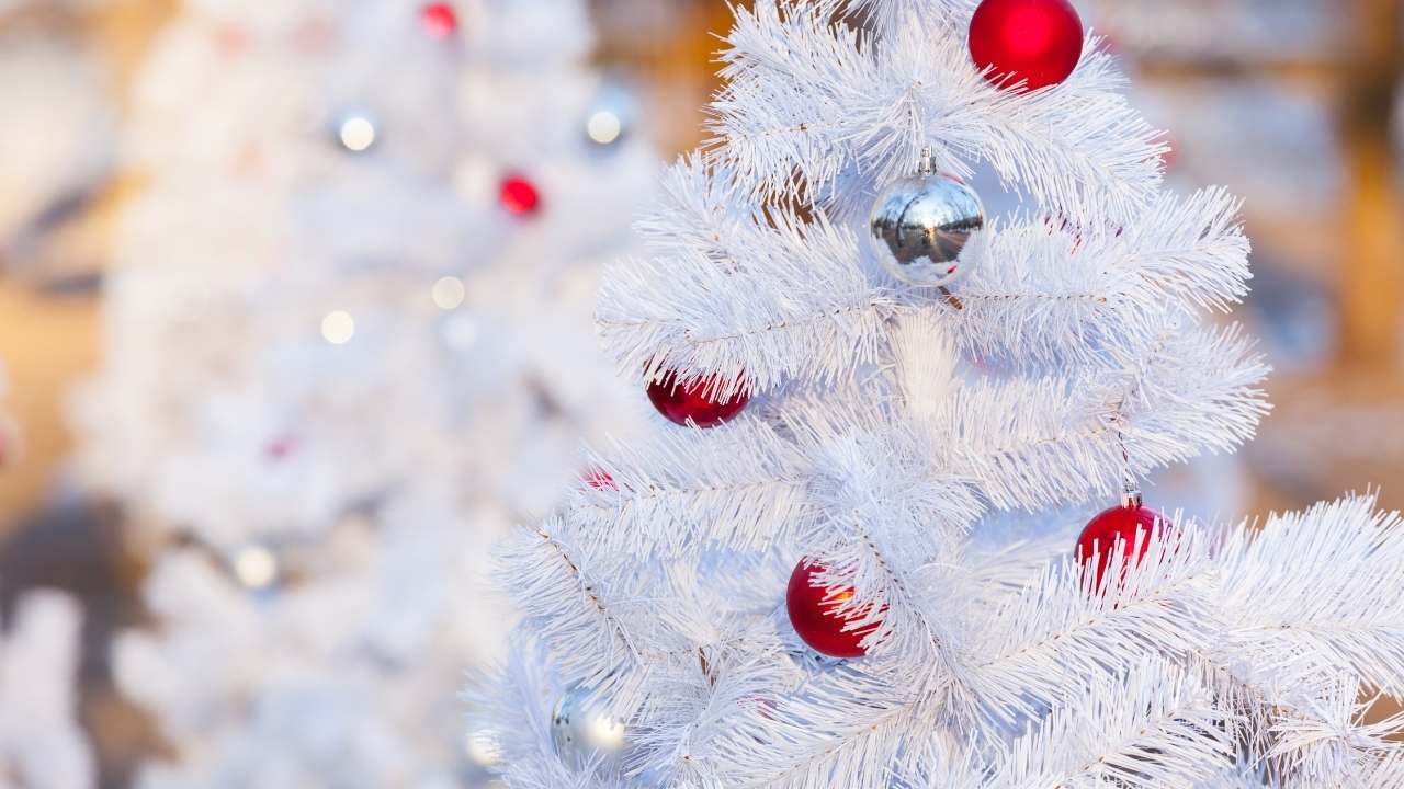 Winter Christmas Tree Outside Wallpapers - Wallpaper Cave Winter Christmas Tree Outside Wallpapers - Wallpaper Cave