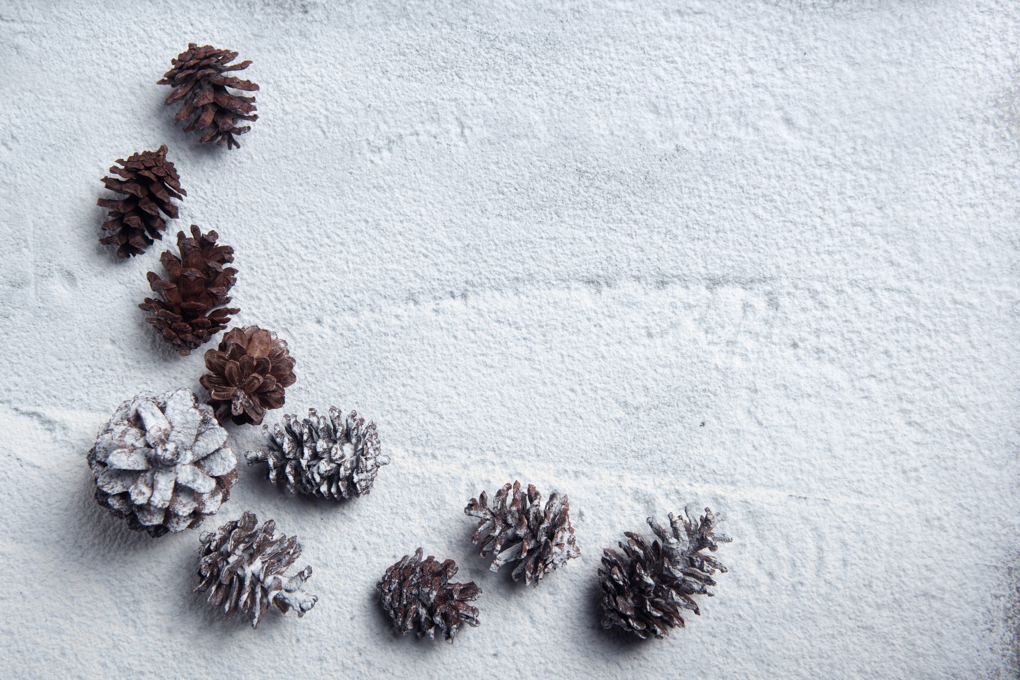 Winter Pinecones Wallpapers - Wallpaper Cave