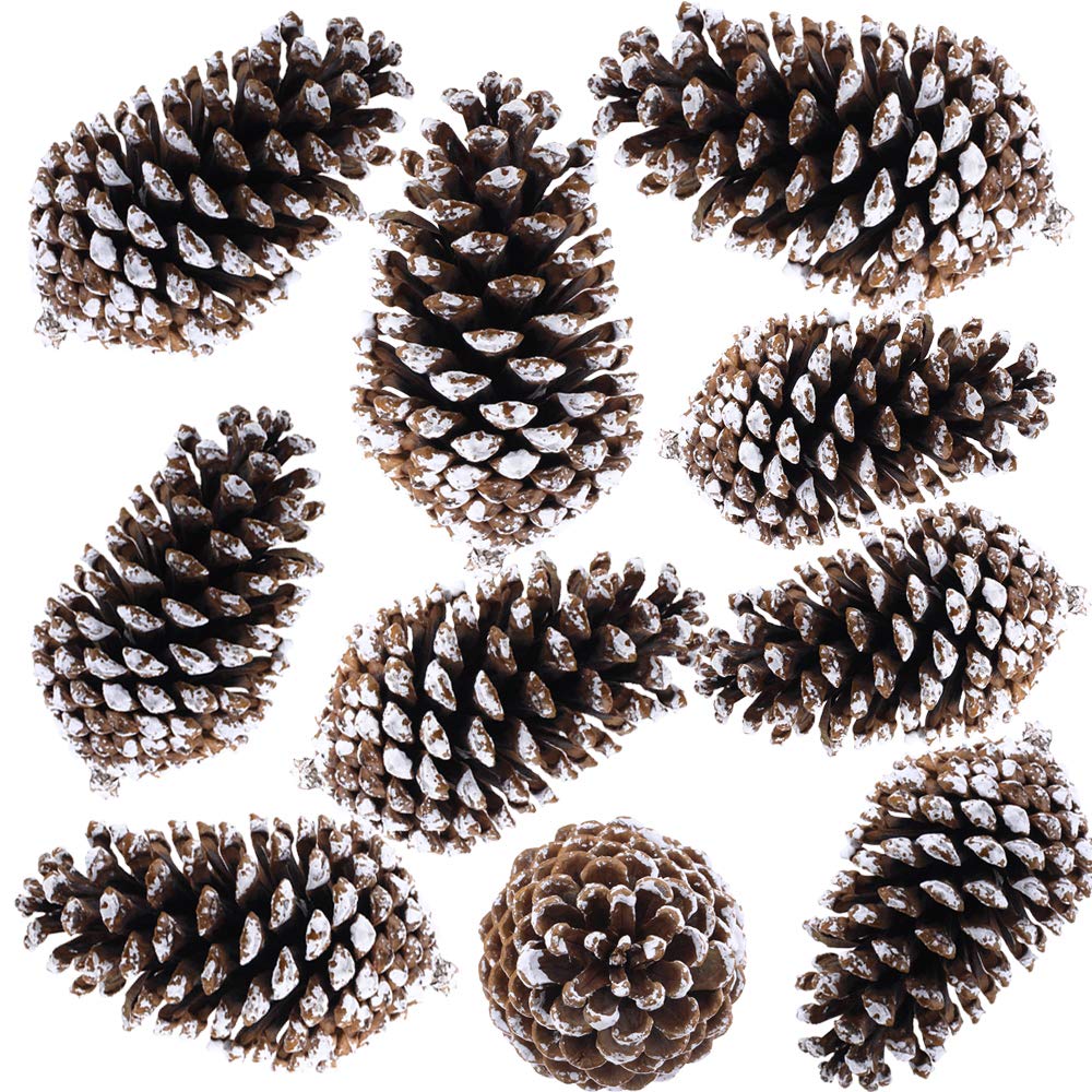 Winter Pinecones Wallpapers - Wallpaper Cave