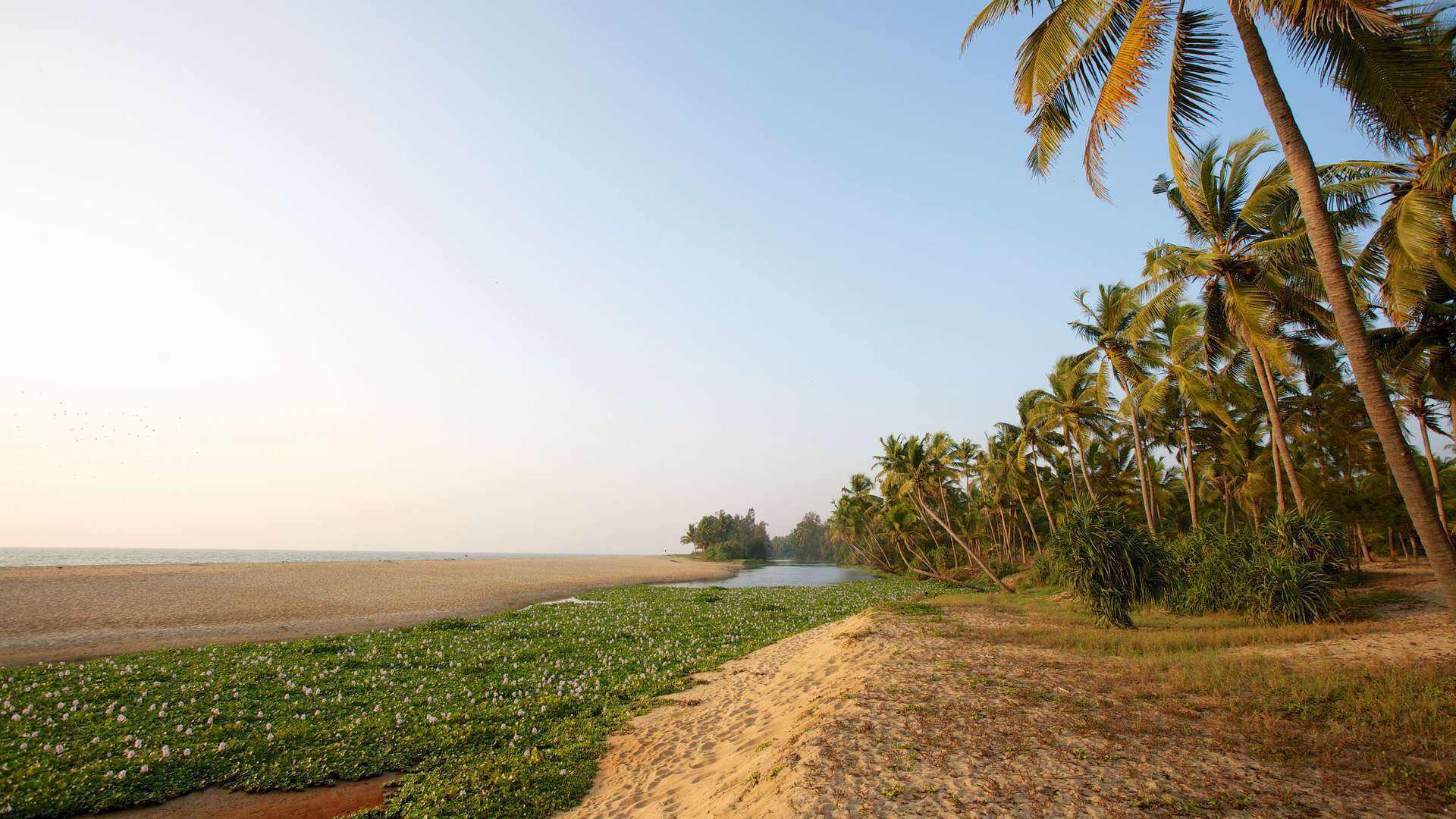 Kasaragod Wallpapers - Wallpaper Cave