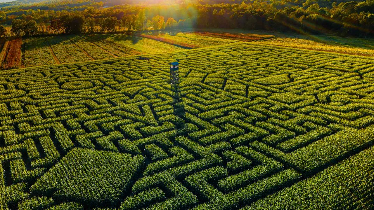 Corn Maze Wallpapers - Wallpaper Cave