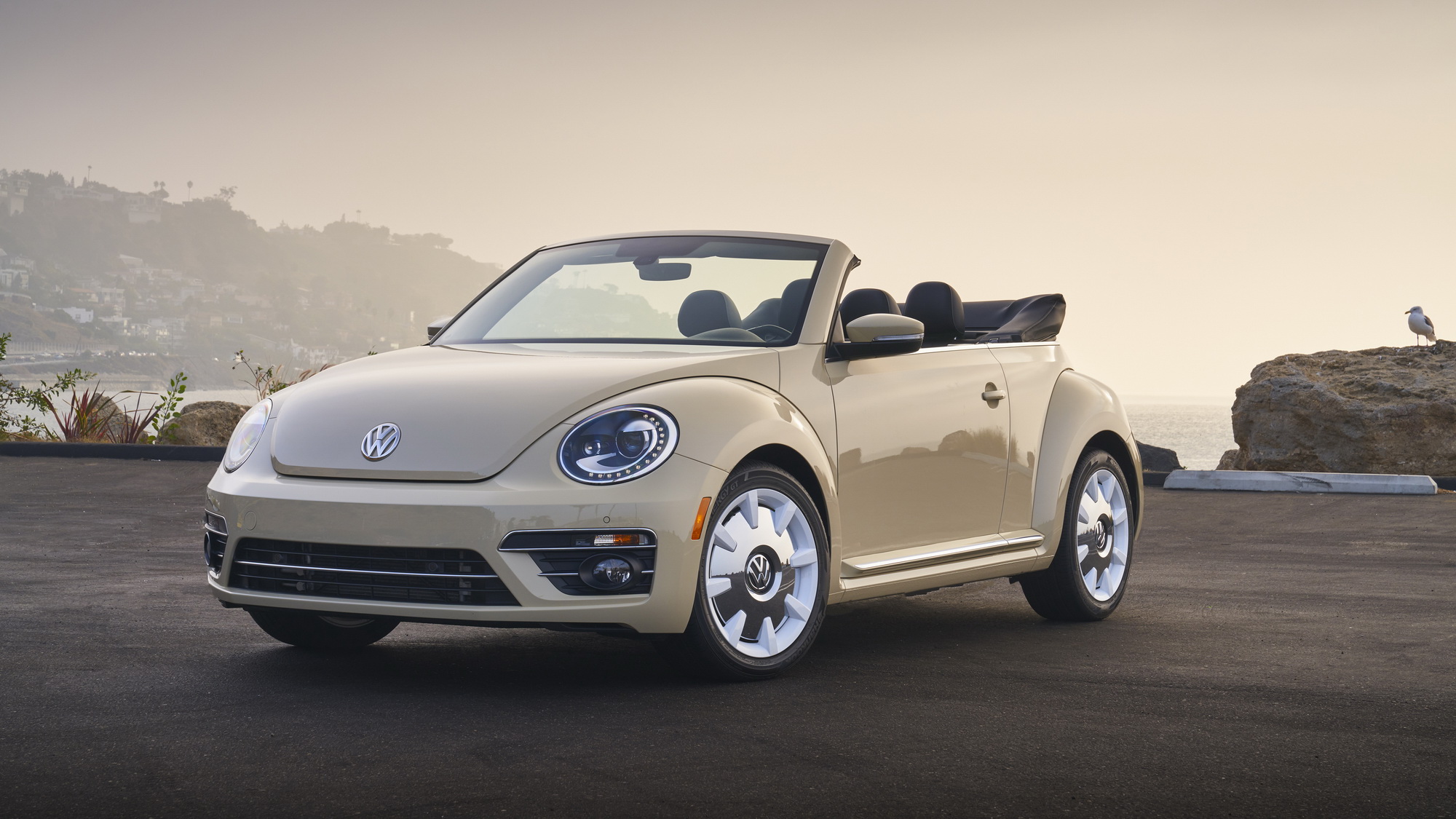 New Beetle Wallpapers - Wallpaper Cave