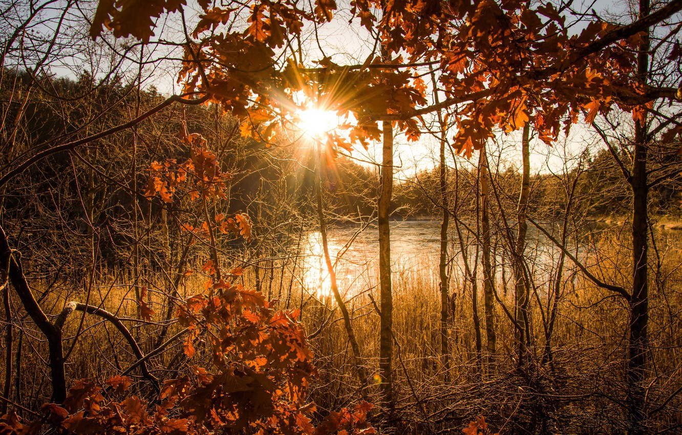 Autumn Sunlight Wallpapers - Wallpaper Cave