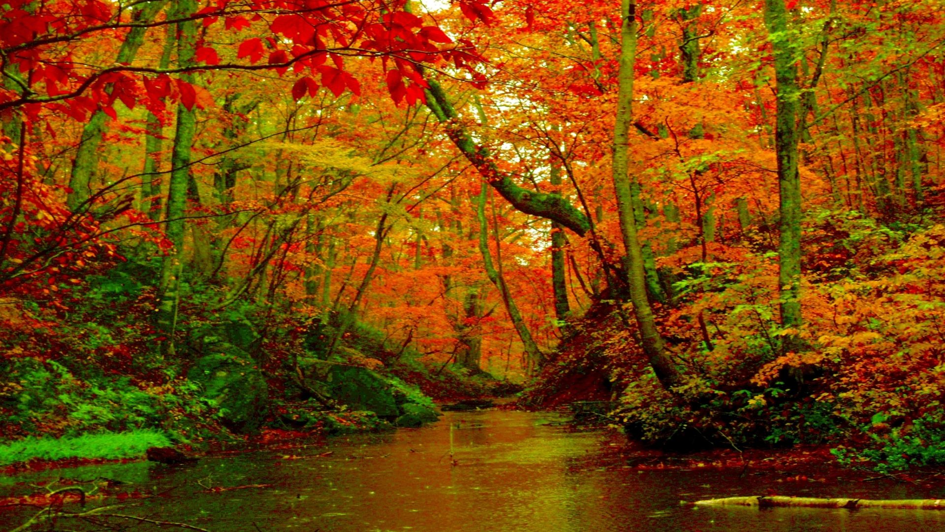 1920x1080 Autumn River Wallpapers - Wallpaper Cave