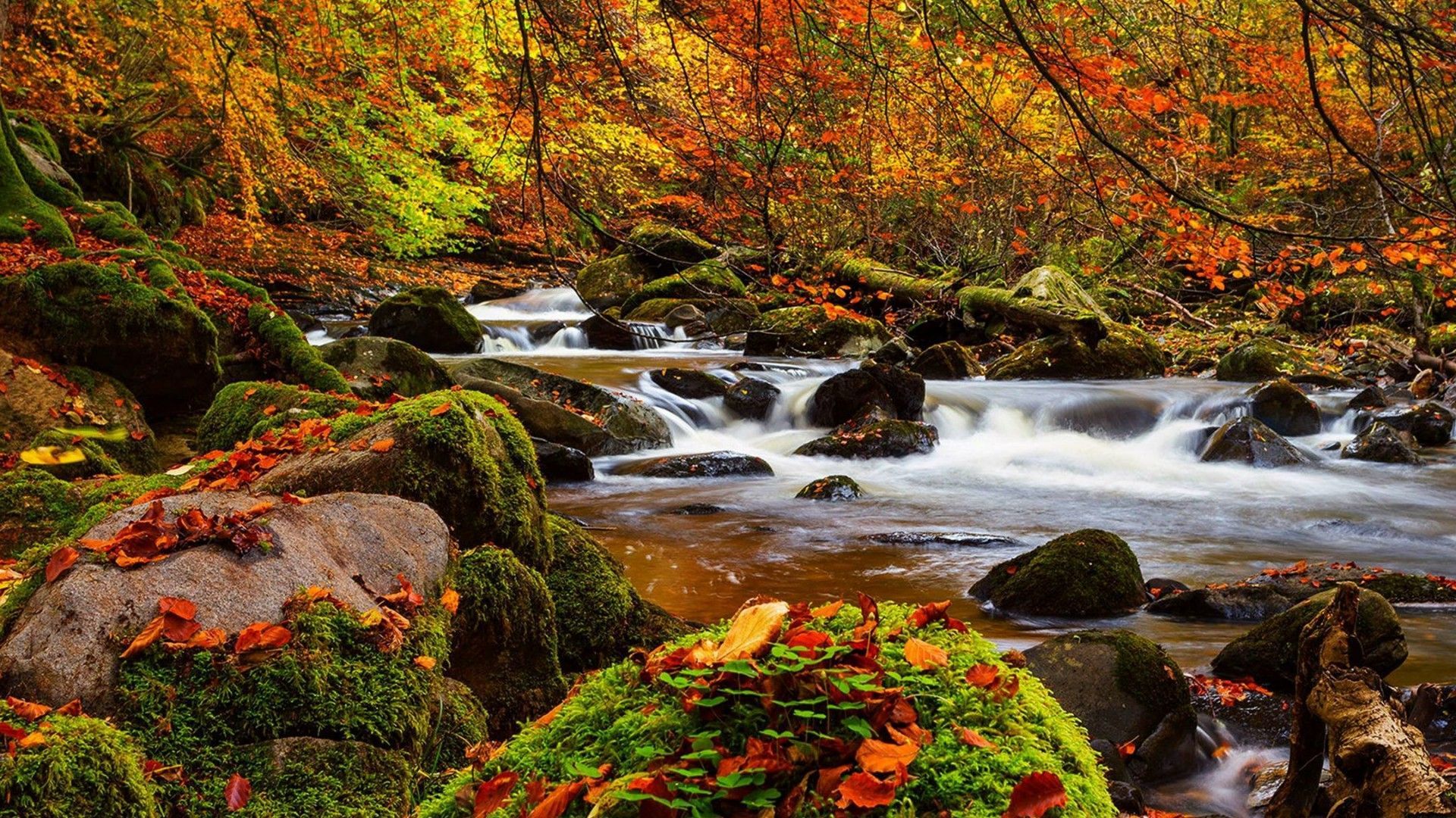 1920x1080 Autumn River Wallpapers - Wallpaper Cave