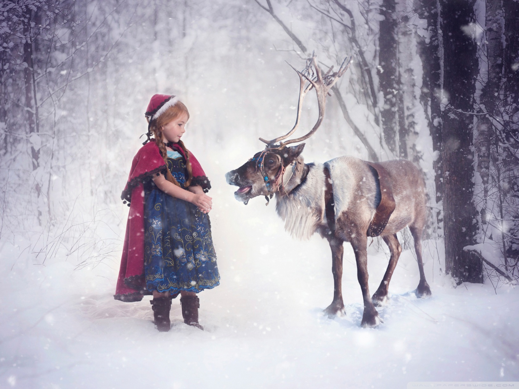 Christmas Elk Wallpapers - Wallpaper Cave