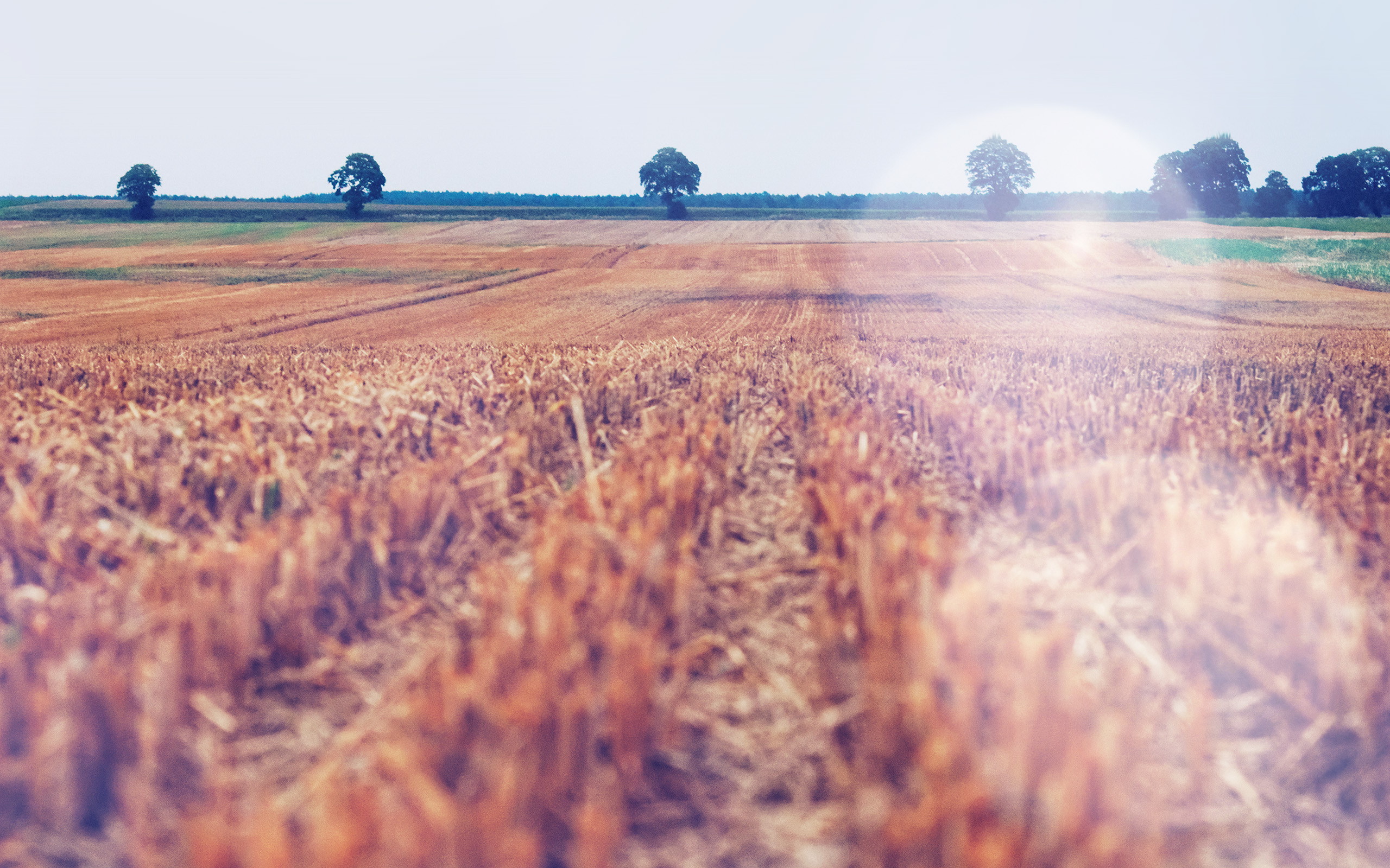 Fall Farm Wallpapers - Wallpaper Cave