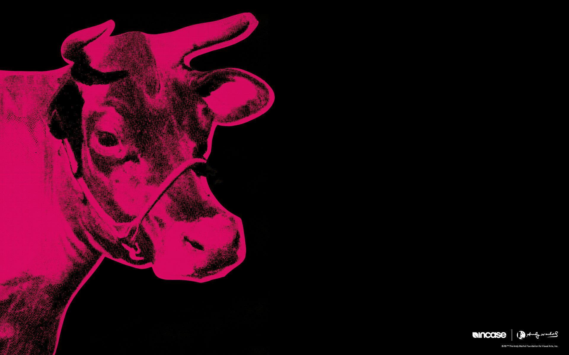 Red Cow Wallpapers - Wallpaper Cave