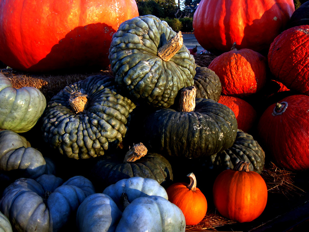 Autumn Bounty Wallpapers - Wallpaper Cave