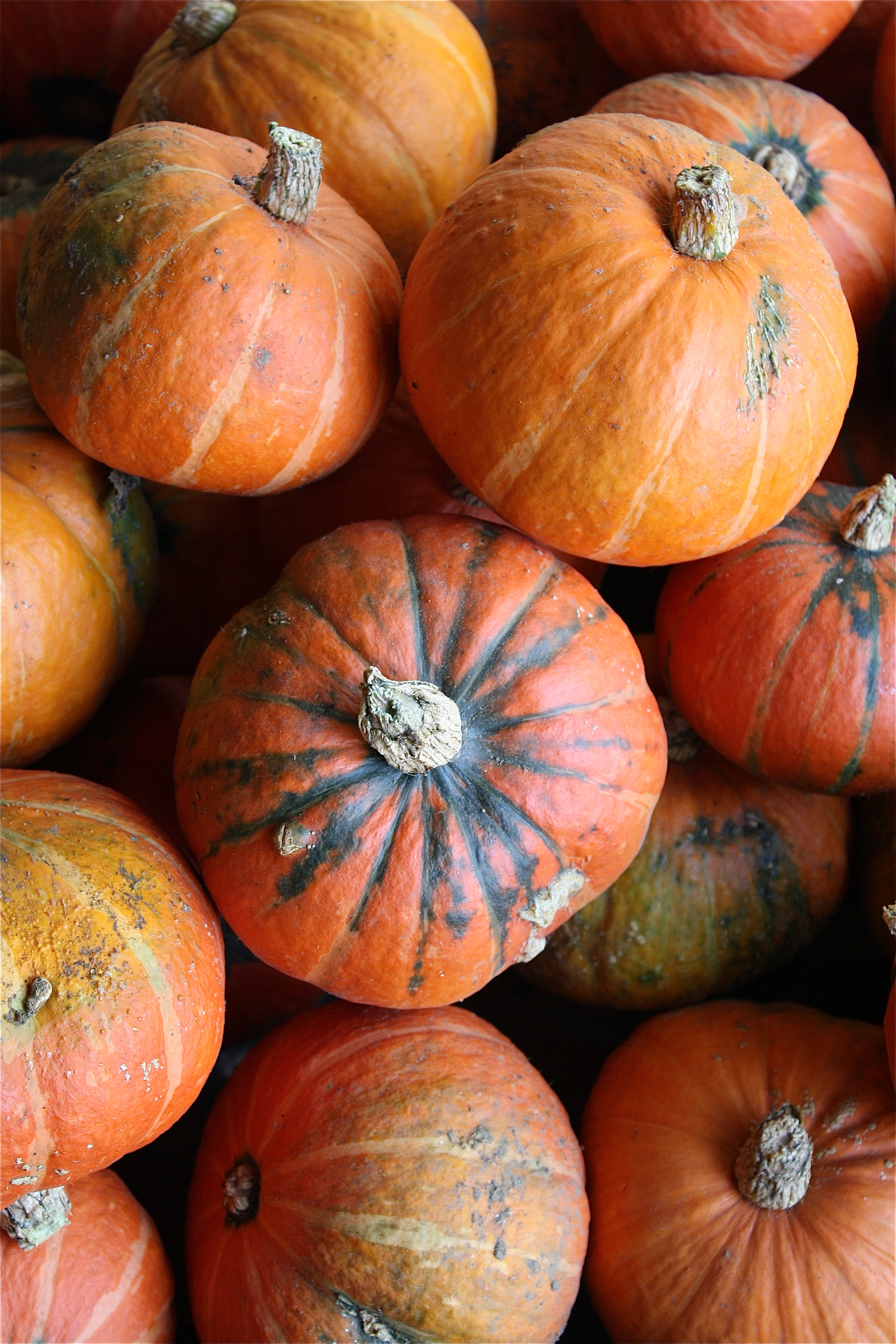 Autumn Bounty Wallpapers Wallpaper Cave