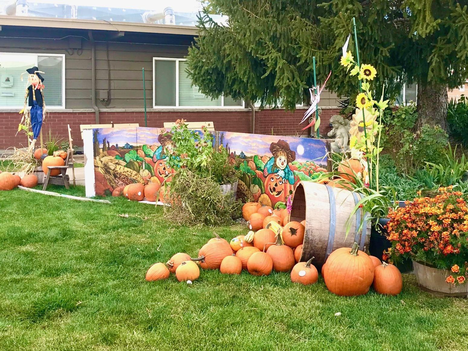 Autumn Bounty Wallpapers - Wallpaper Cave