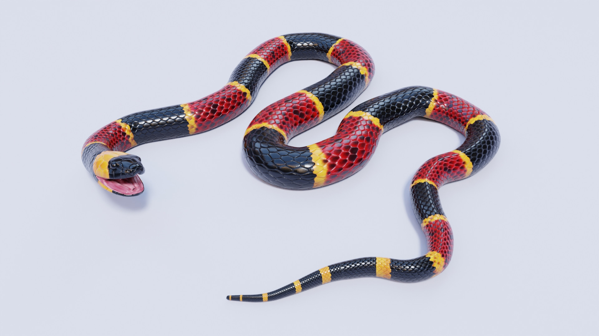 Coral Snake Wallpapers - Wallpaper Cave