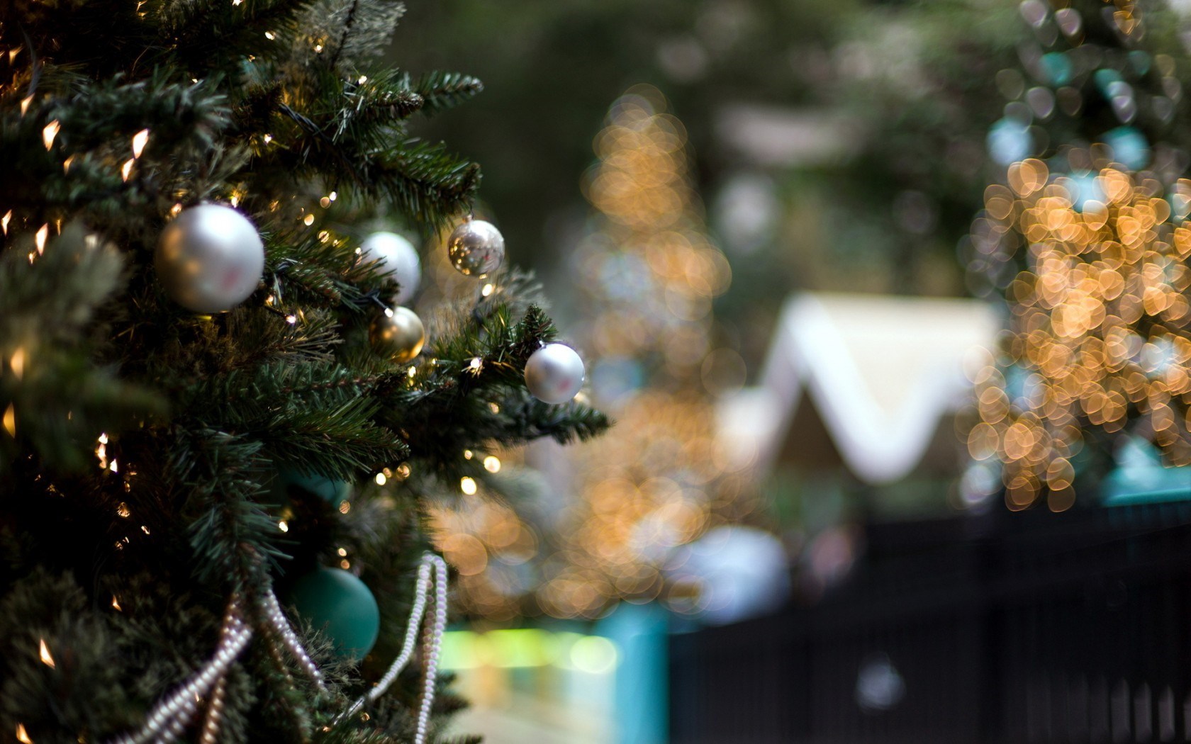 Tree Lights And Winter Wallpapers - Wallpaper Cave