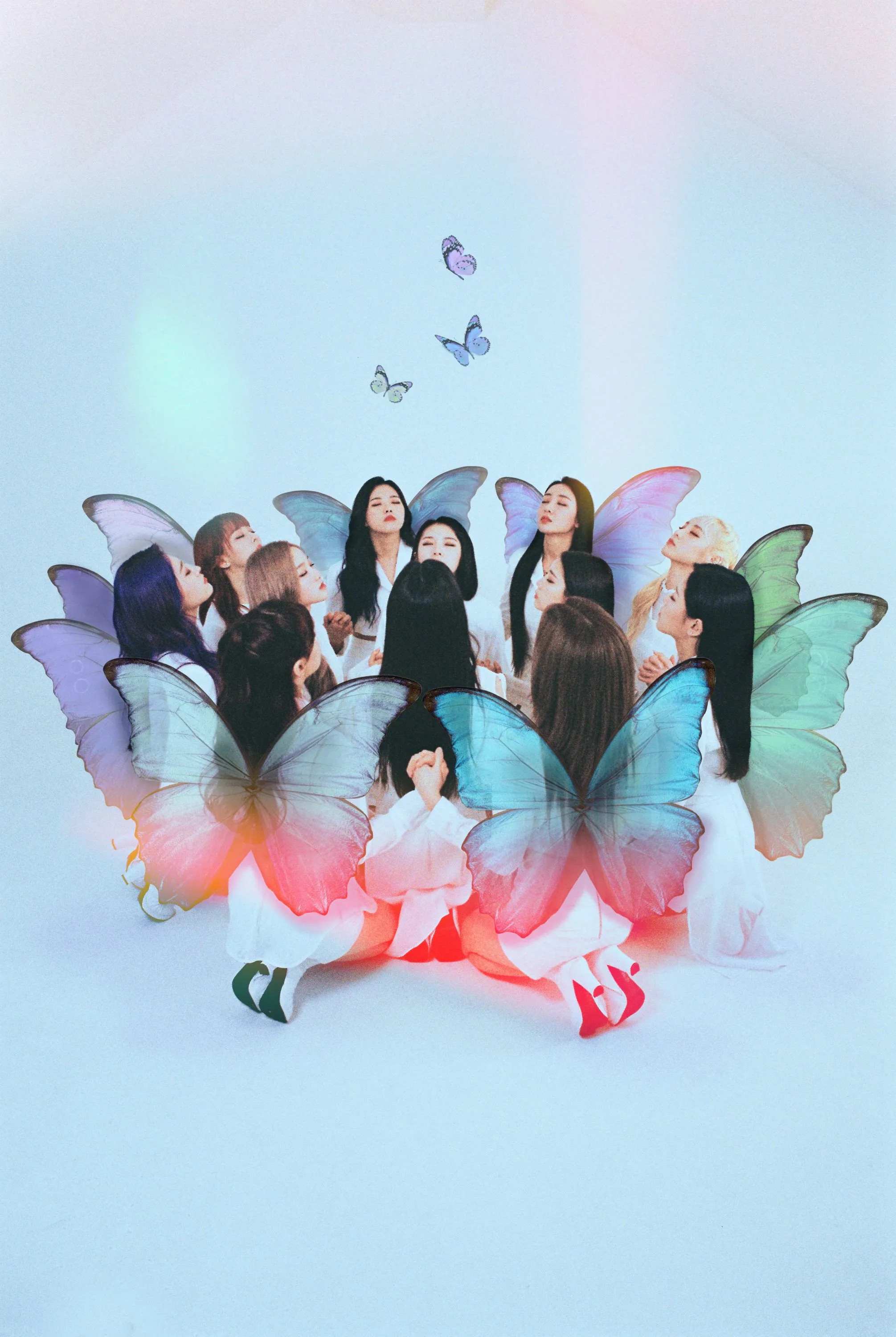 Loona Butterfly Wallpapers Wallpaper Cave