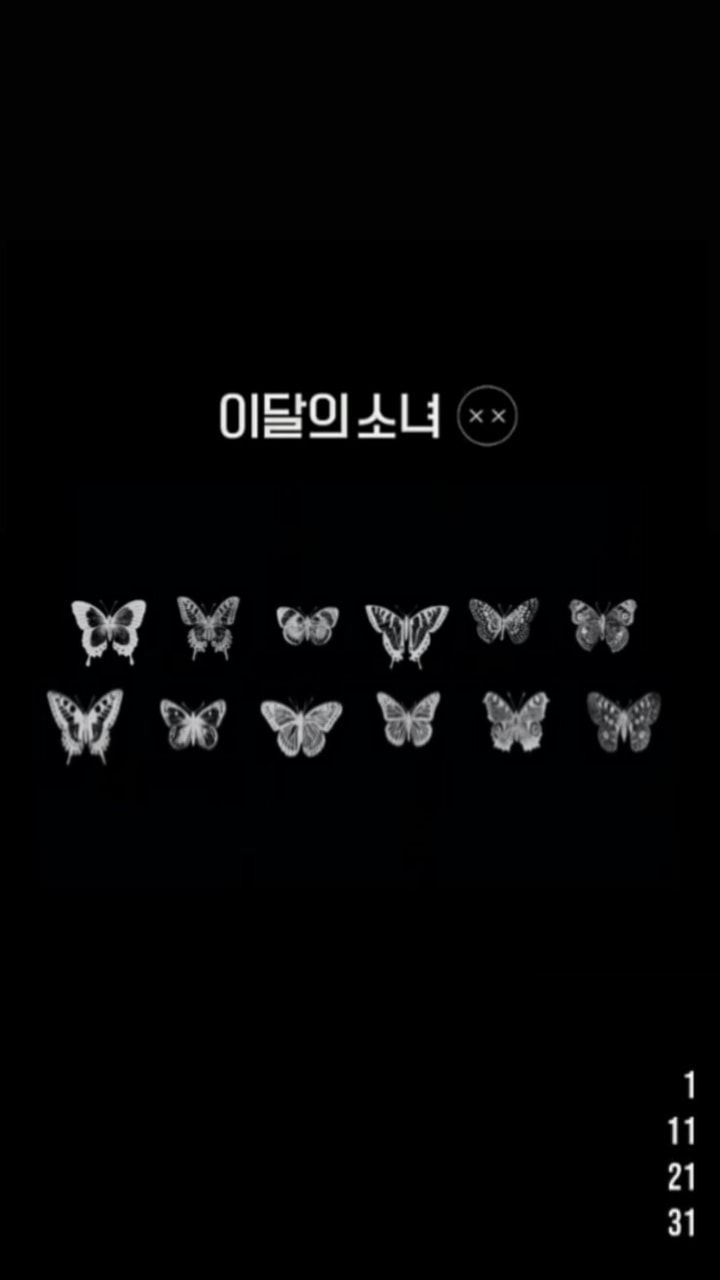 Loona Butterfly Wallpapers - Wallpaper Cave