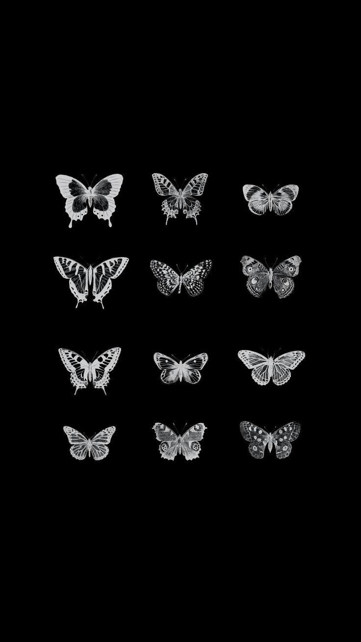 Loona Butterfly Wallpapers - Wallpaper Cave