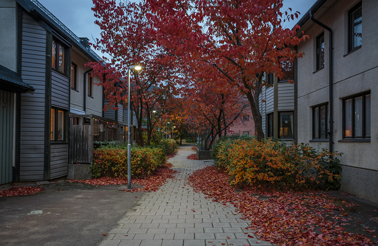 Autumn Street Lamp Wallpapers - Wallpaper Cave