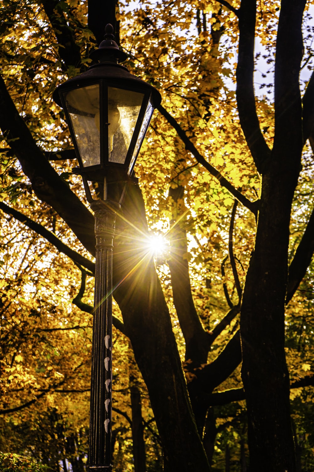 Autumn Street Lamp Wallpapers - Wallpaper Cave