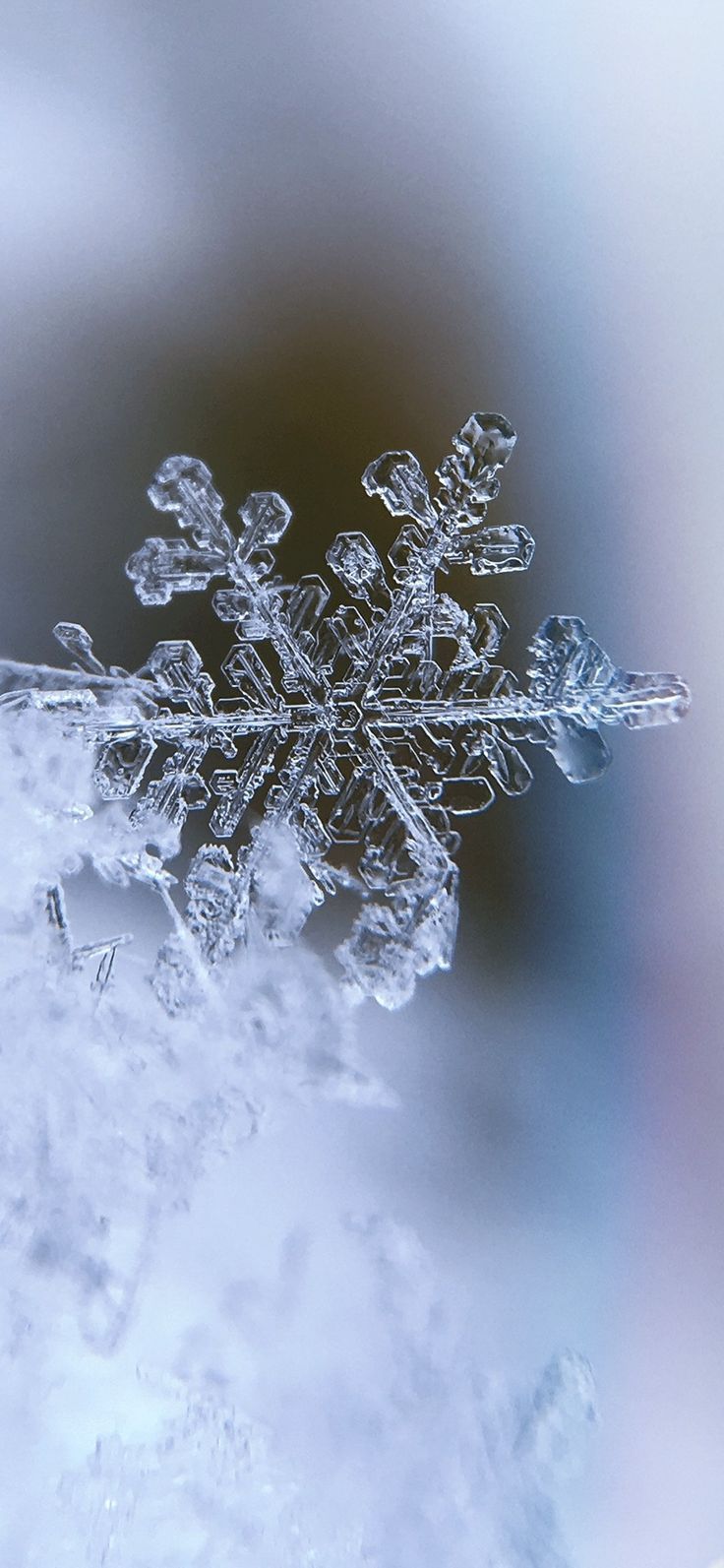 Simple Aesthetic Winter Wallpapers - Wallpaper Cave