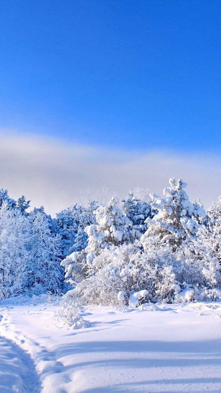 Winter Cozy Vertical Wallpapers - Wallpaper Cave