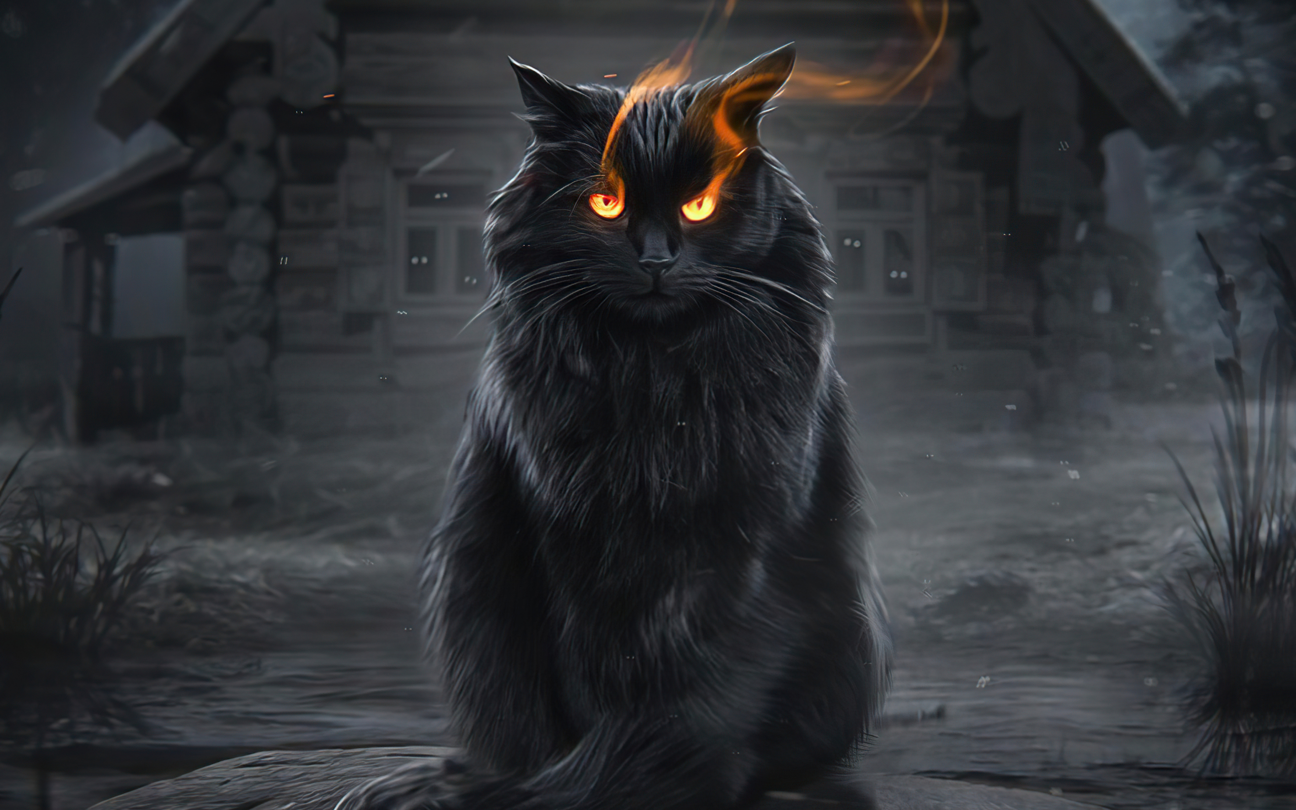 Gray And Black Cat Wallpapers - Wallpaper Cave