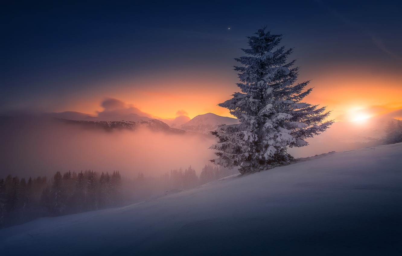Winter Night Landscape Wallpapers - Wallpaper Cave