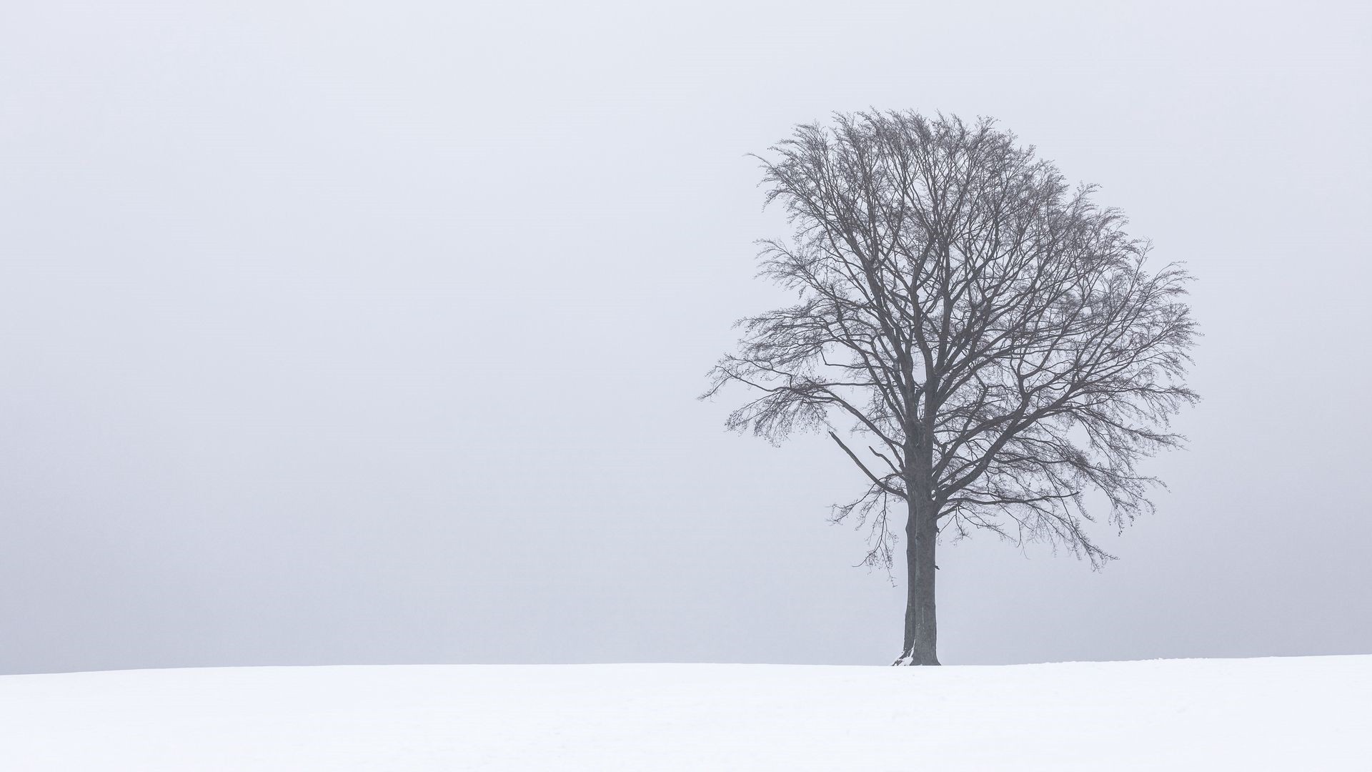 Minimalist Winter Laptop Wallpapers - Wallpaper Cave