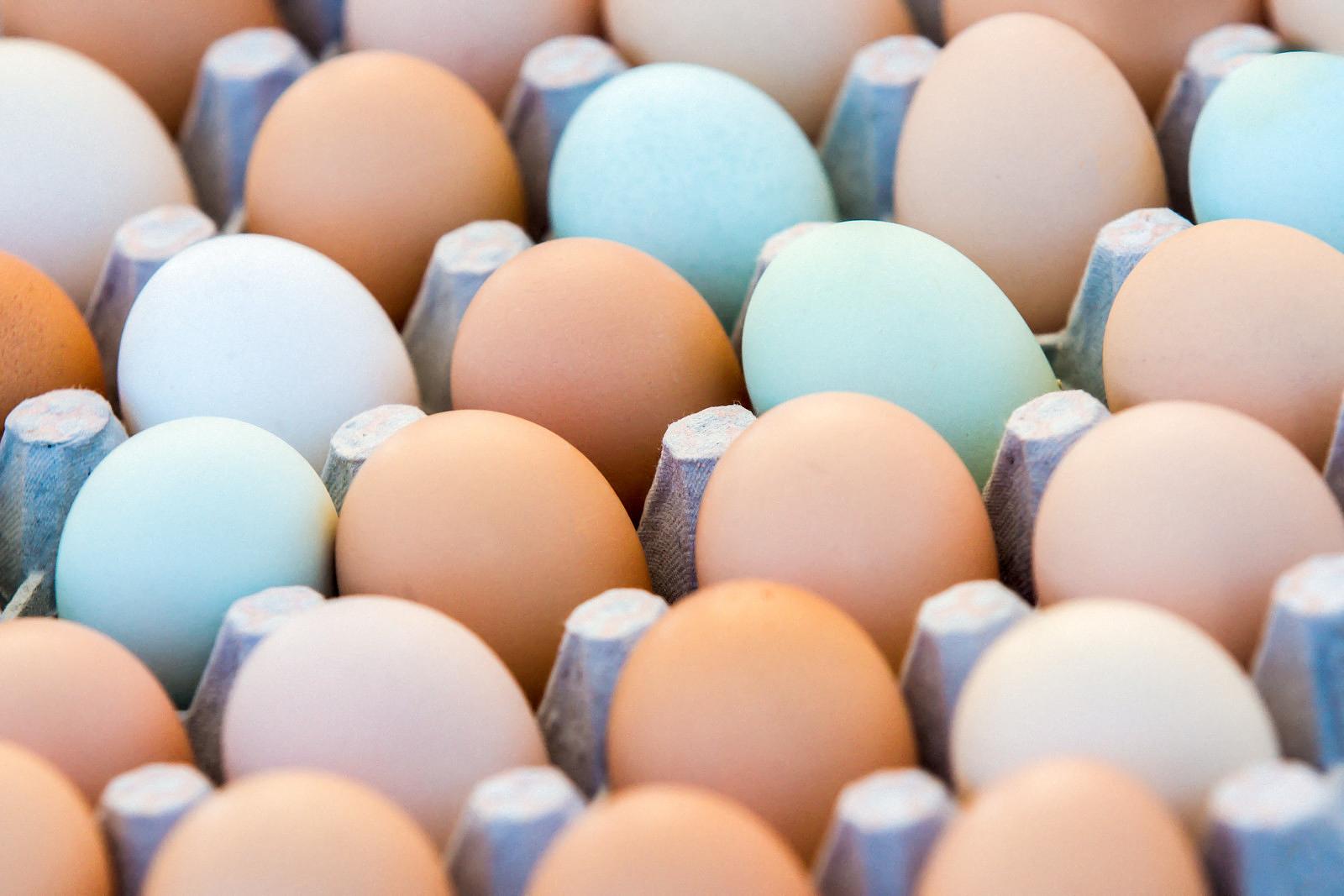 Fresh Eggs Wallpapers - Wallpaper Cave