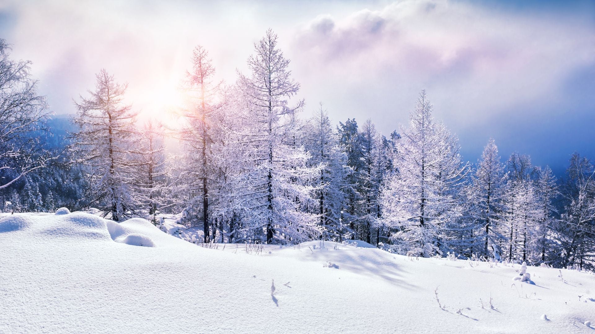 Winter Horizontal Wallpapers - Wallpaper Cave