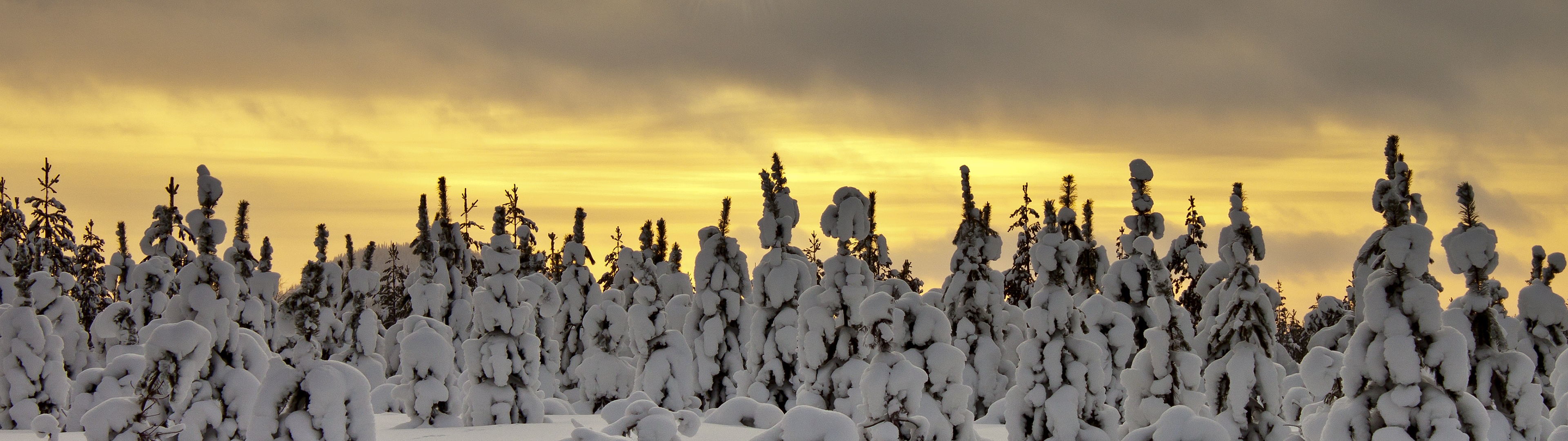 Winter Horizontal Wallpapers - Wallpaper Cave