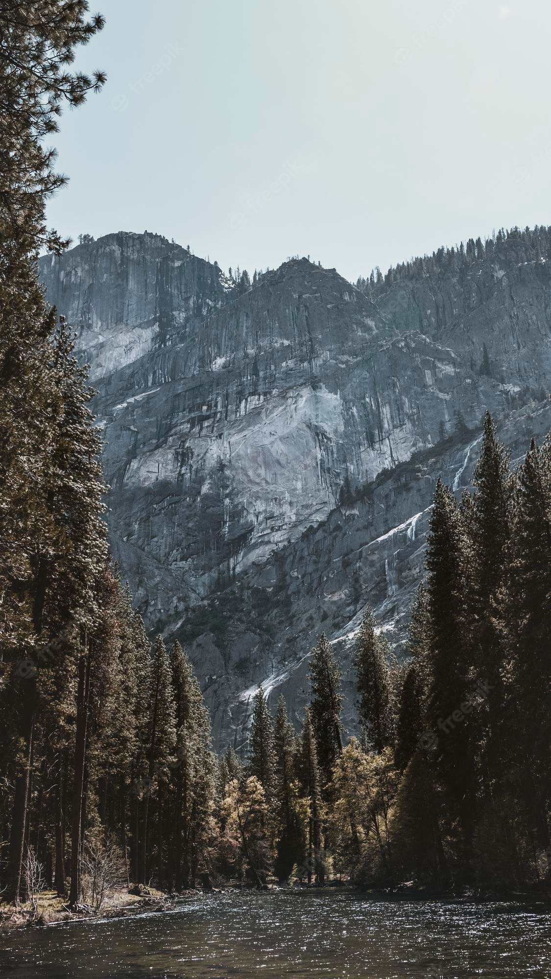 Winter Forest Mobile Wallpapers - Wallpaper Cave