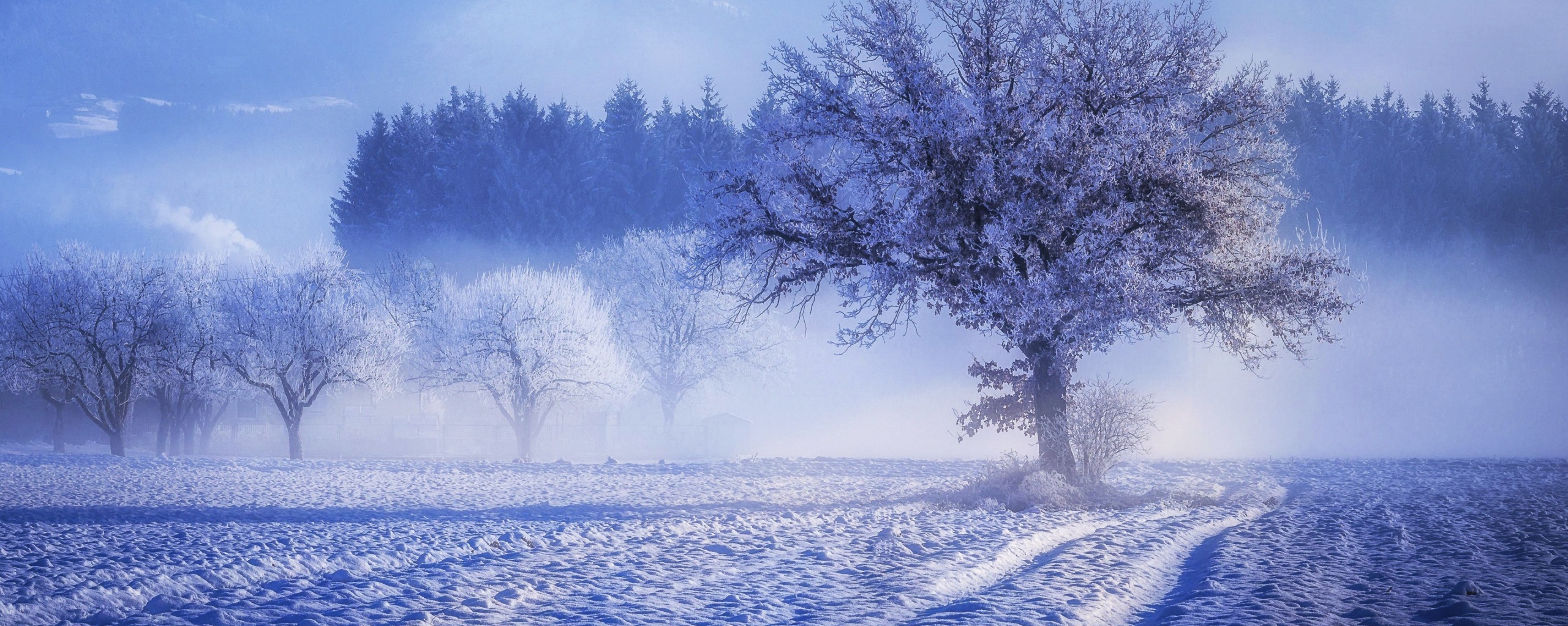 Winter Ultra HD Wallpapers - Wallpaper Cave