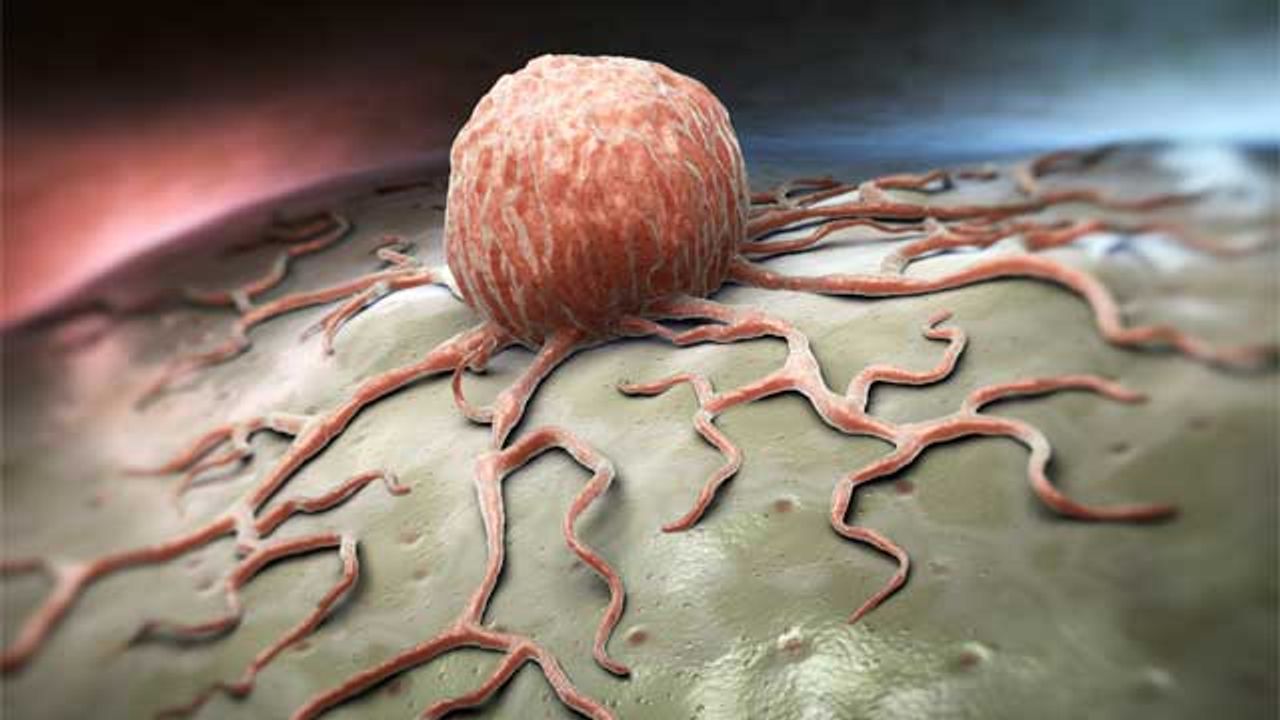 Cancer Cells Wallpapers - Wallpaper Cave