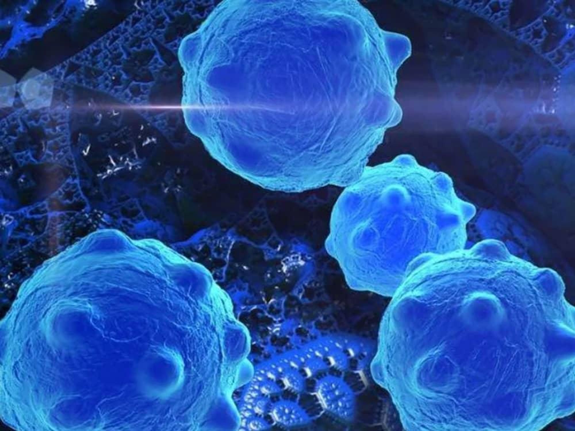 Cancer Cells Wallpapers - Wallpaper Cave