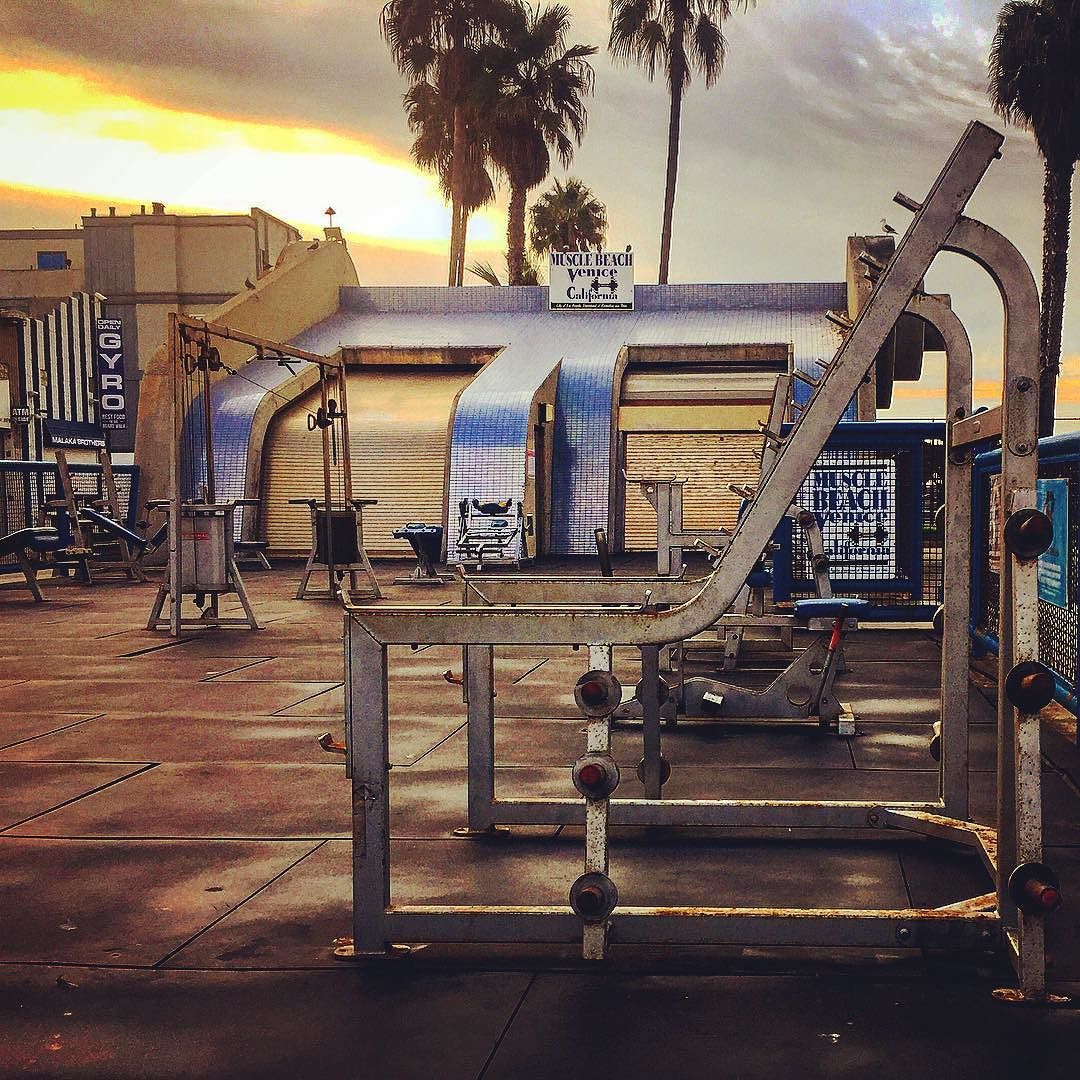 Muscle Beach Wallpapers - Wallpaper Cave