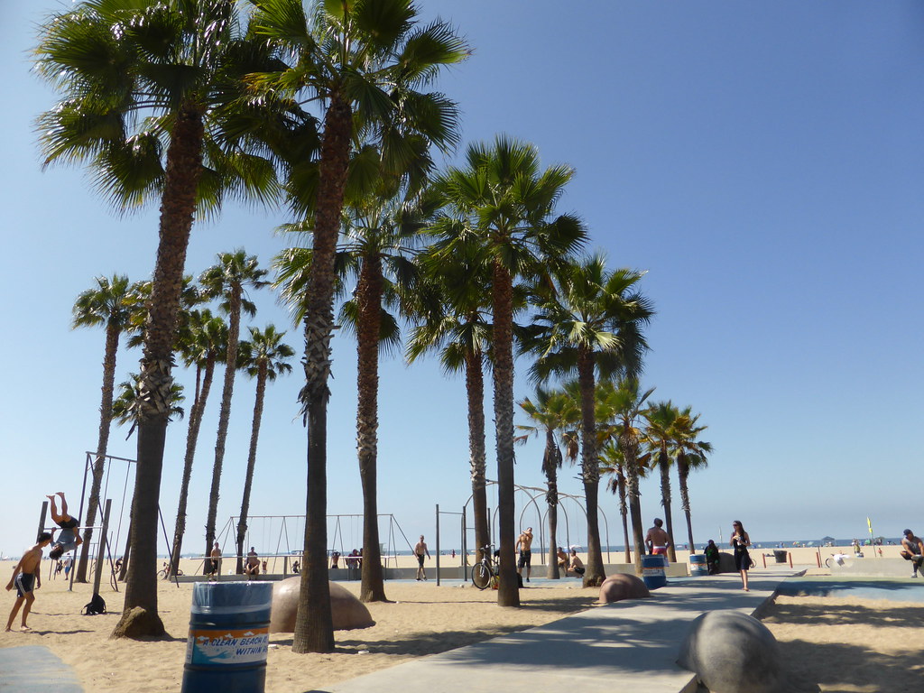 Muscle Beach Wallpapers - Wallpaper Cave