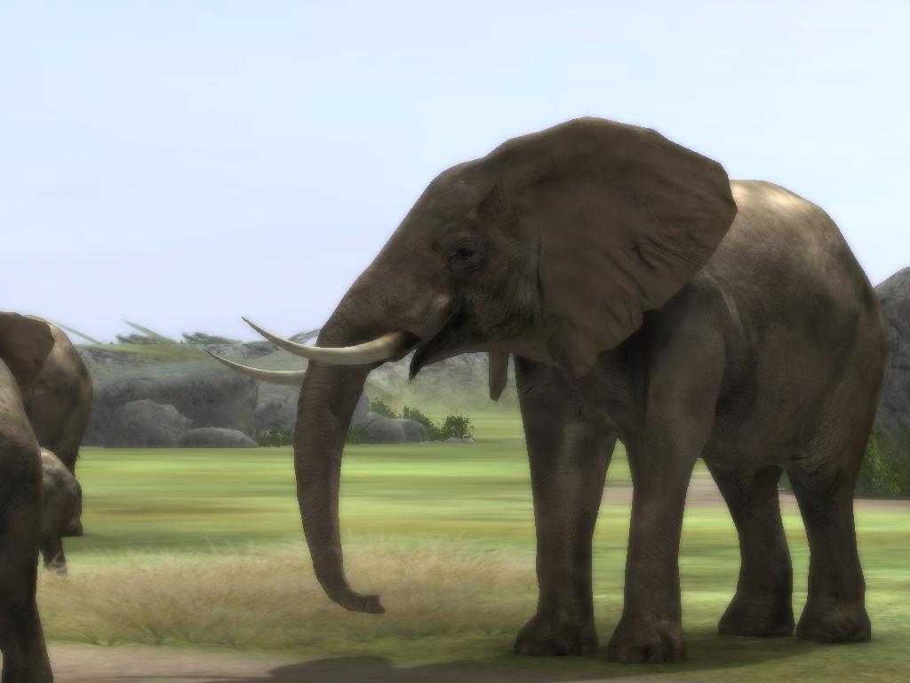 Wild Earth - Africa Wallpapers - Wallpaper Cave